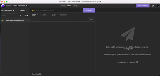 Kong Insomnia 2022.6 Supports WebSockets | Kong Inc.
